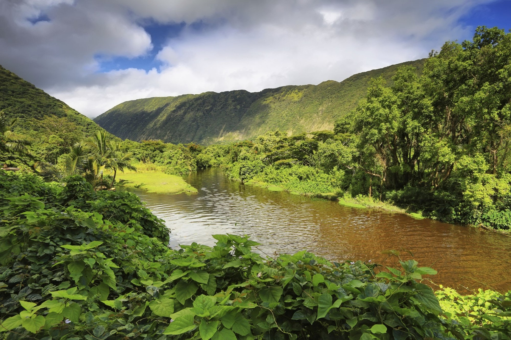 The Best Way to See Waipio Valley: A Visitor’s Guide